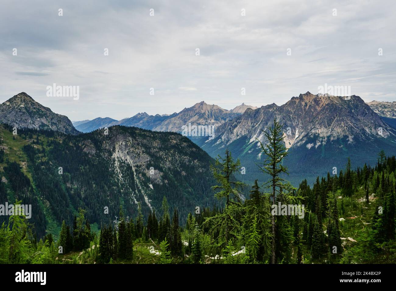 View from the peak of Maple Pass trail, North Cascades National Park ...