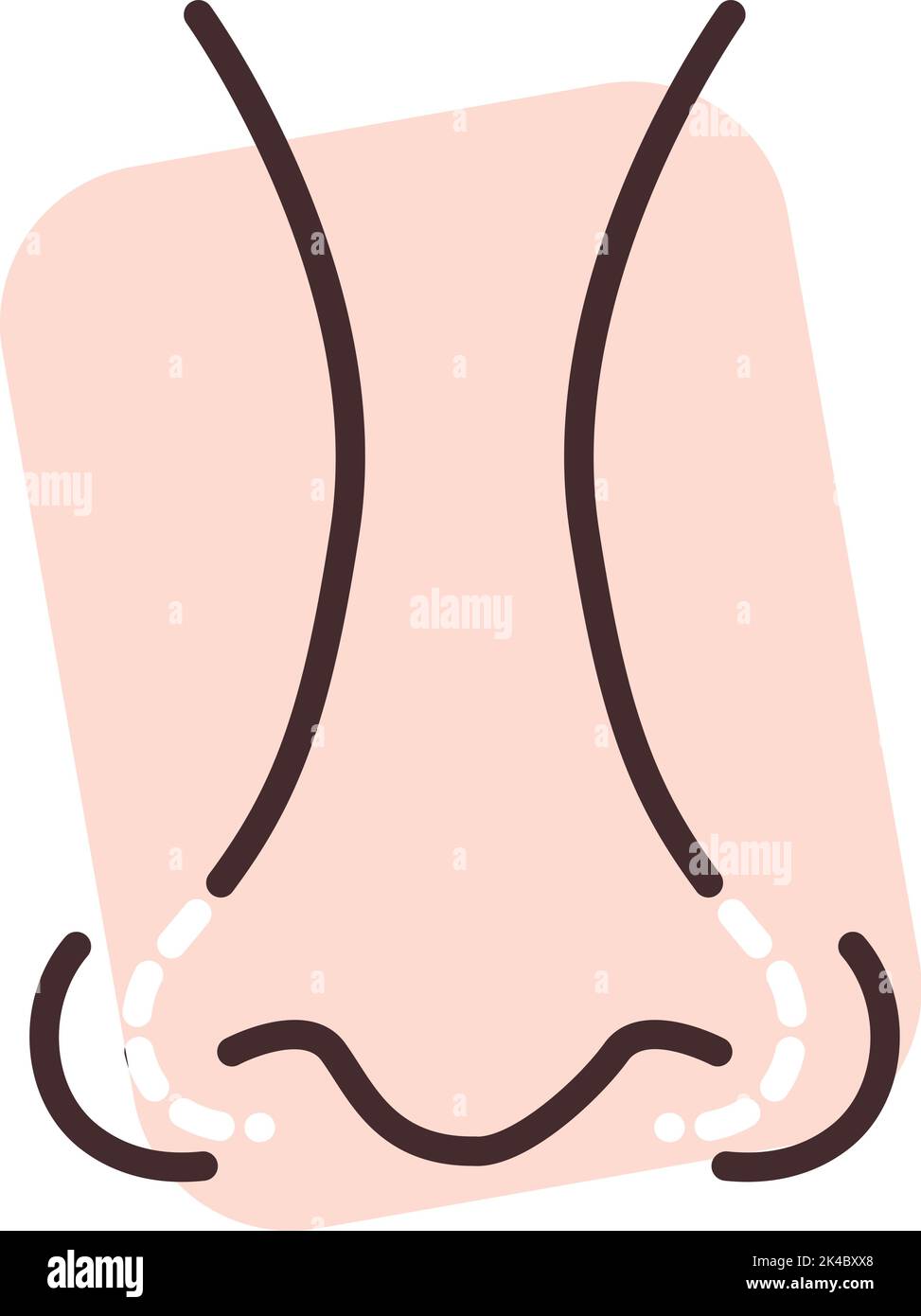 Nose reconstruction surgery, illustration, vector on white background ...