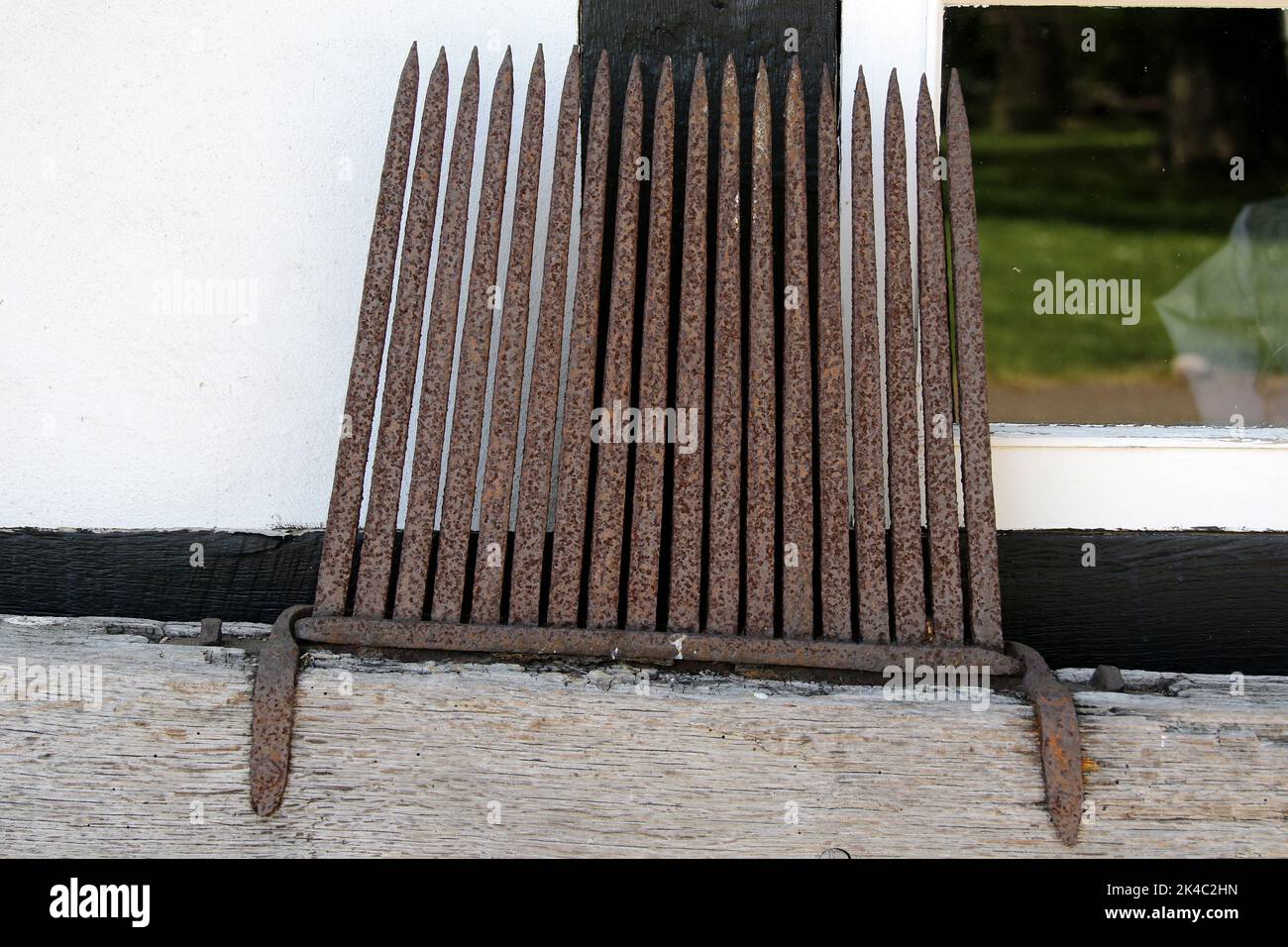 Flax seed pods hi-res stock photography and images - Alamy