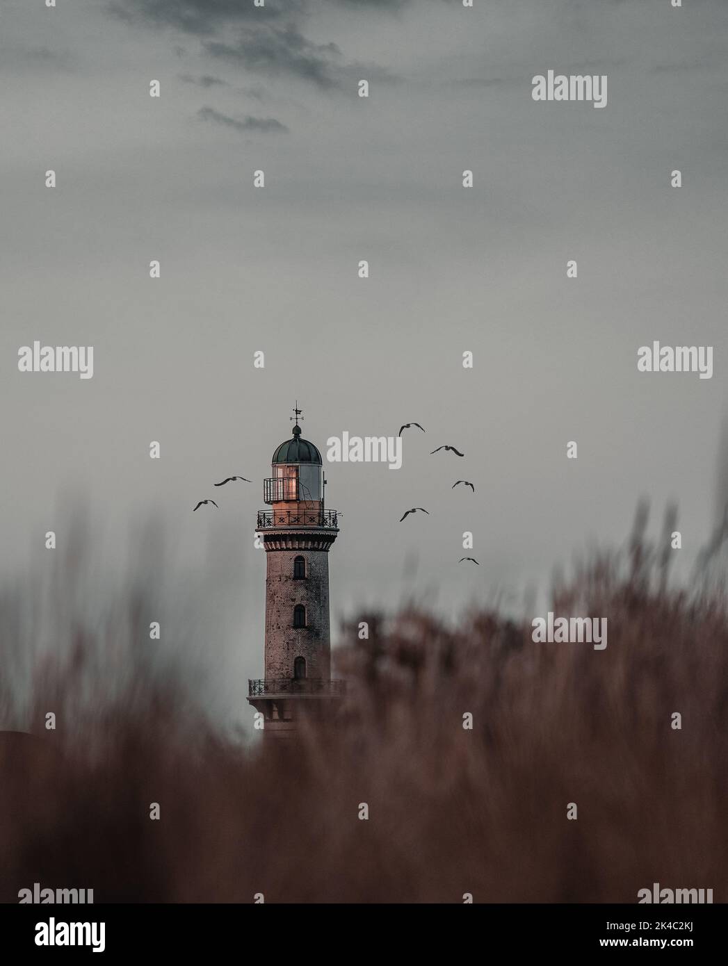 A lighthouse with birds flying around in Germany Stock Photo - Alamy