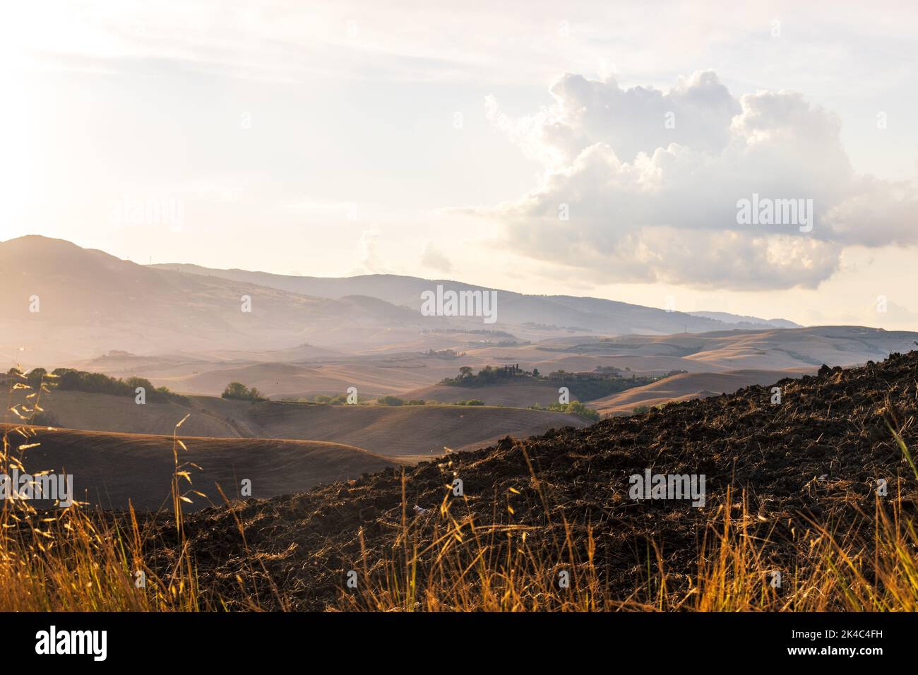 Golden tuscan landscape hi-res stock photography and images - Alamy