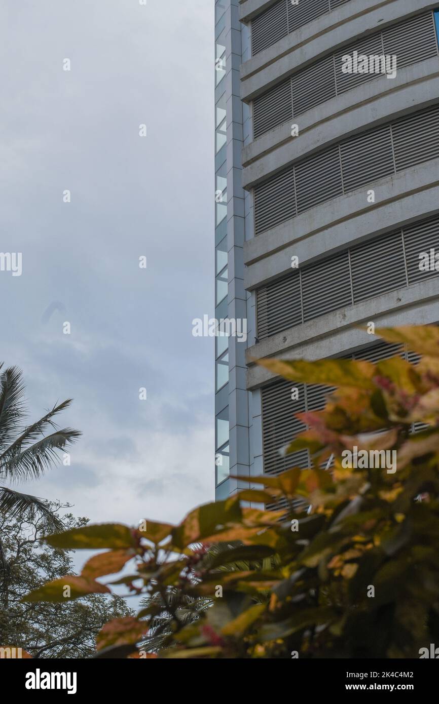 A building facade behind leaves Stock Photo - Alamy