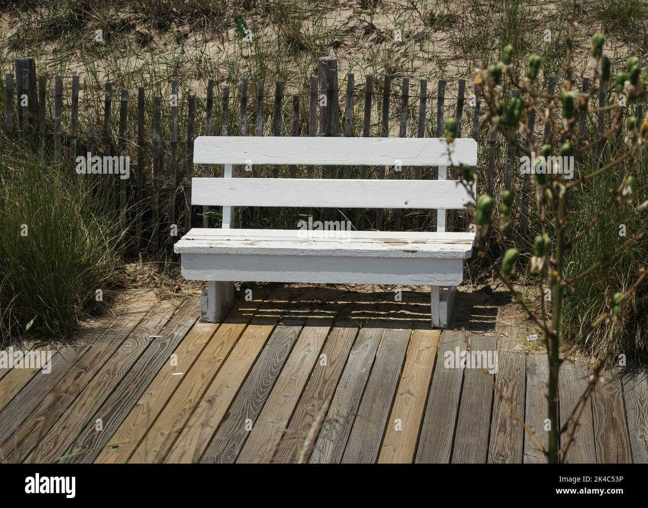 A white wooden bench at the beach boardwalk Stock Photo - Alamy
