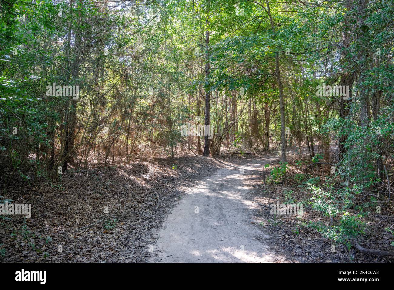 Forest hicking hi-res stock photography and images - Alamy