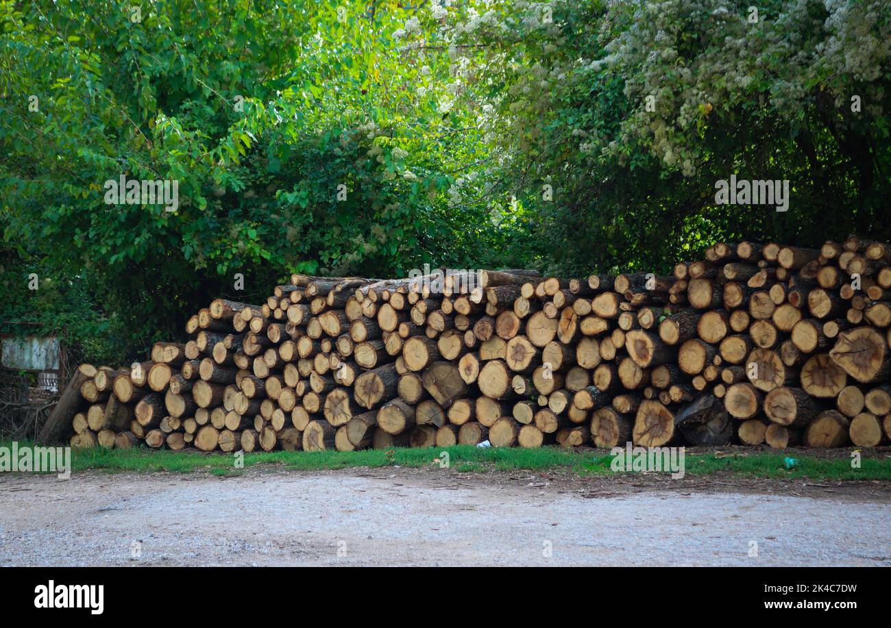 Firewood branches hi-res stock photography and images - Alamy