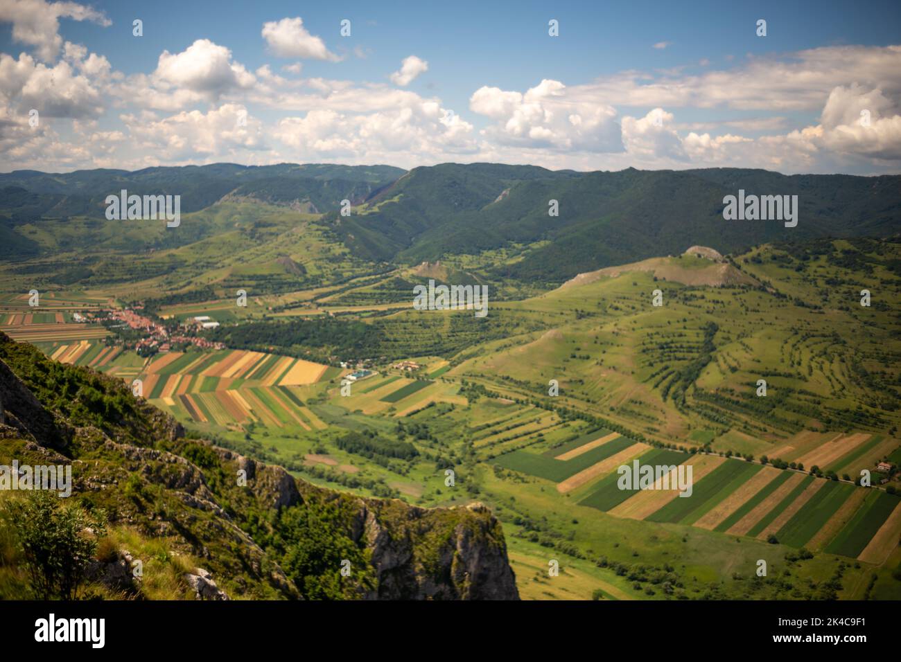 An aerial view of a beautiful forest near the mountains Stock Photo - Alamy