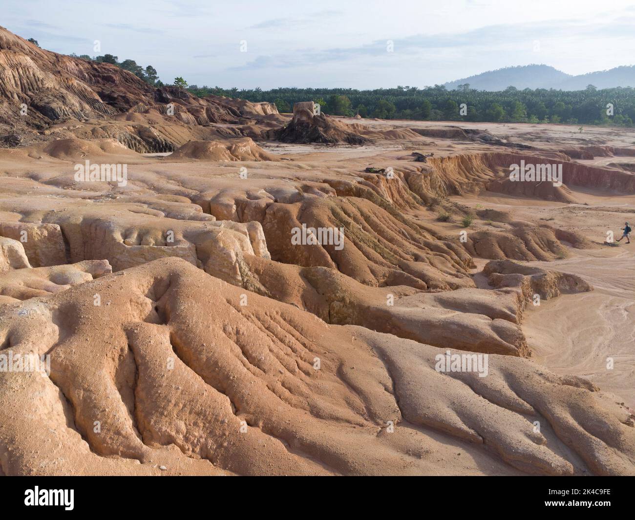 Disruption of land ecology hi-res stock photography and images - Alamy