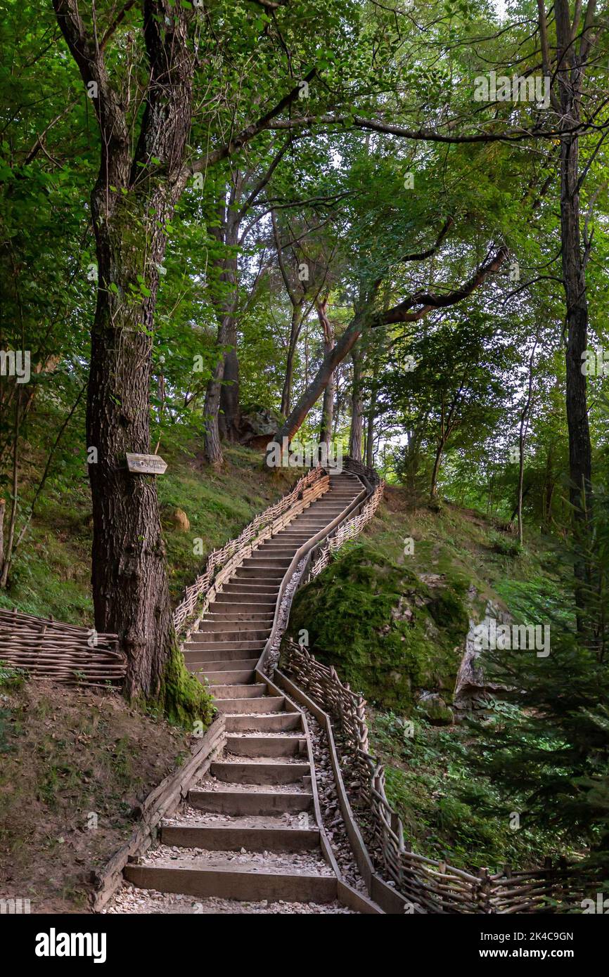 Beautiful Staircase In Nature