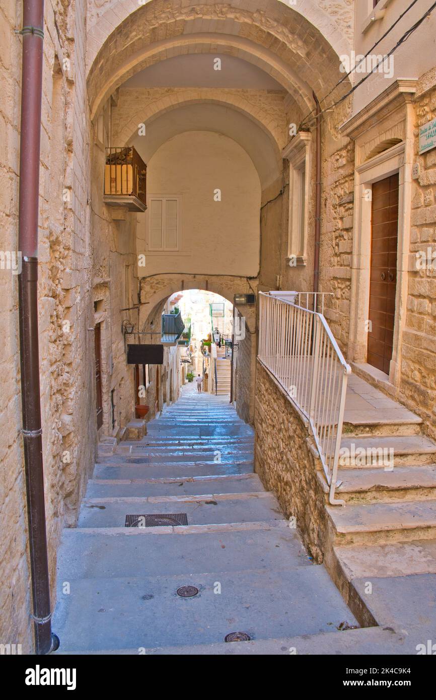 A vertical shot of an arched passageway with old stone steps in Vieste ...
