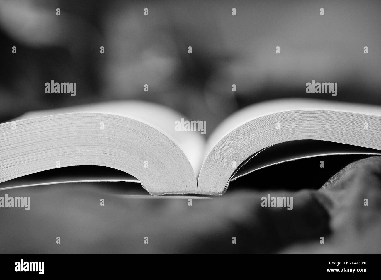 A grayscale closeup shot of an open book Stock Photo - Alamy