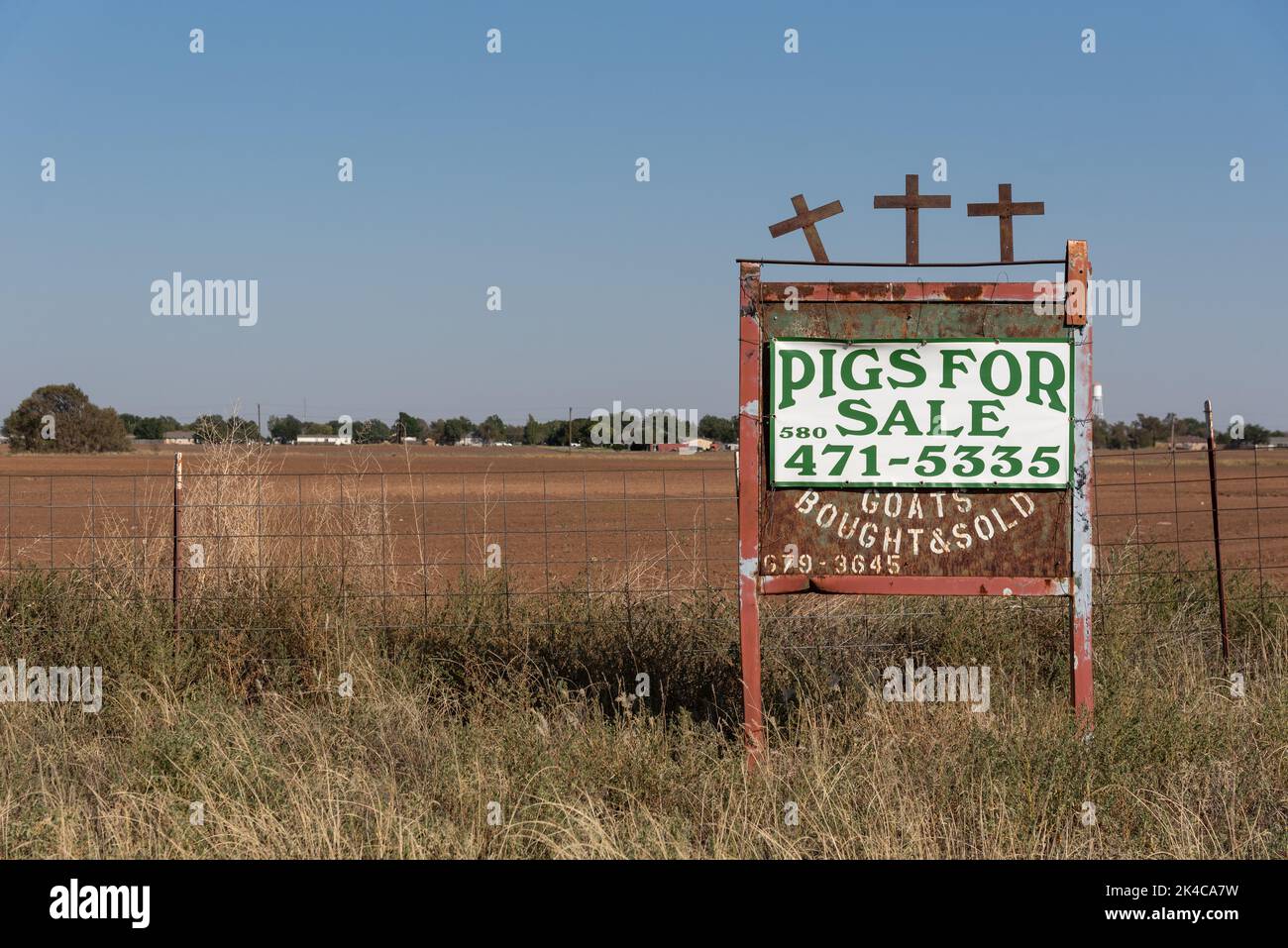 A sign with three crosses across the top reads pigs for sale goats ...