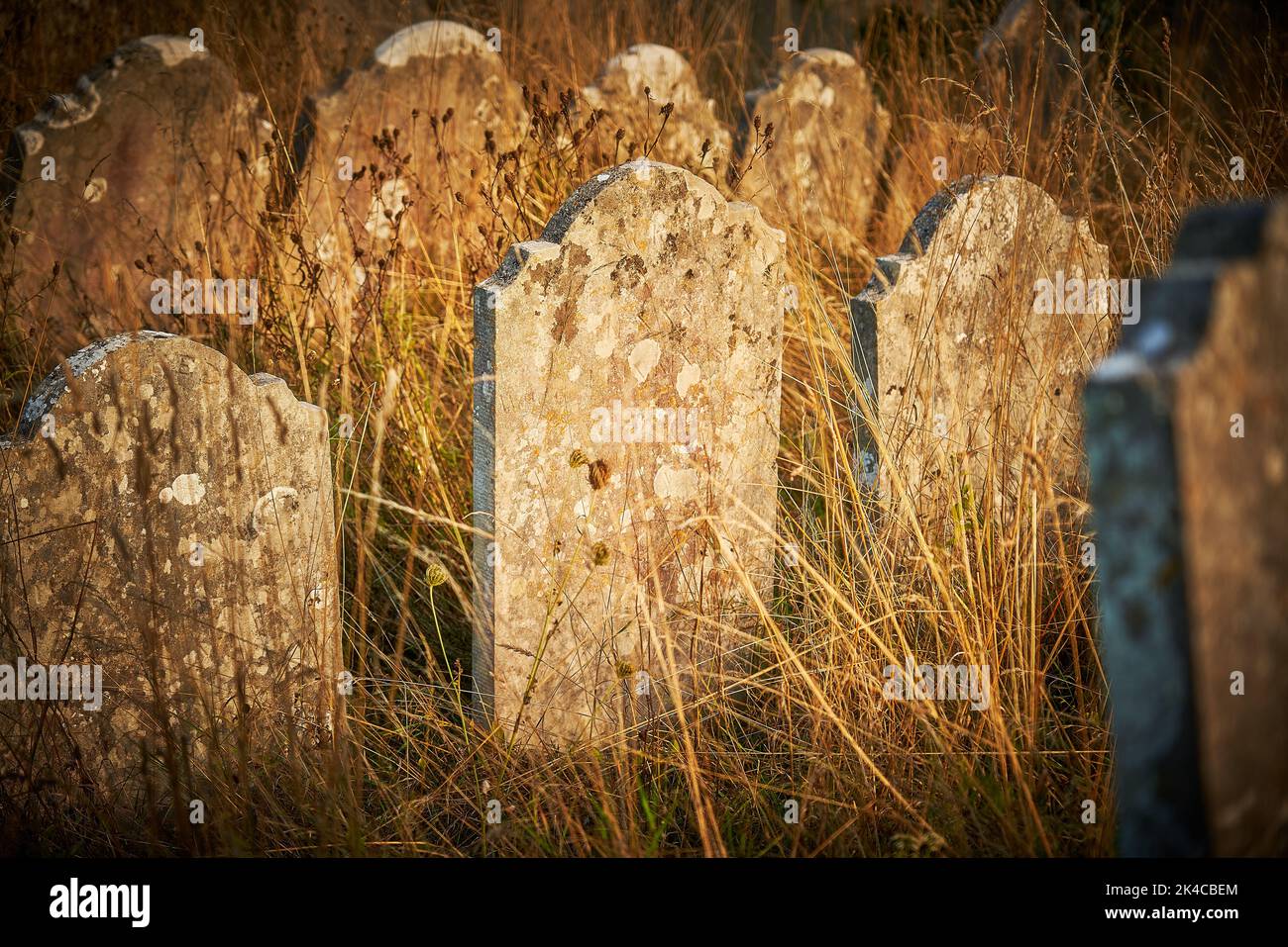 A dense set of old gravestones with yellow grass around them captured ...