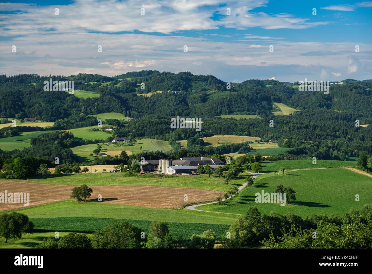 A scenic shot of the view along the trail of Schlosserweg in Grein ...