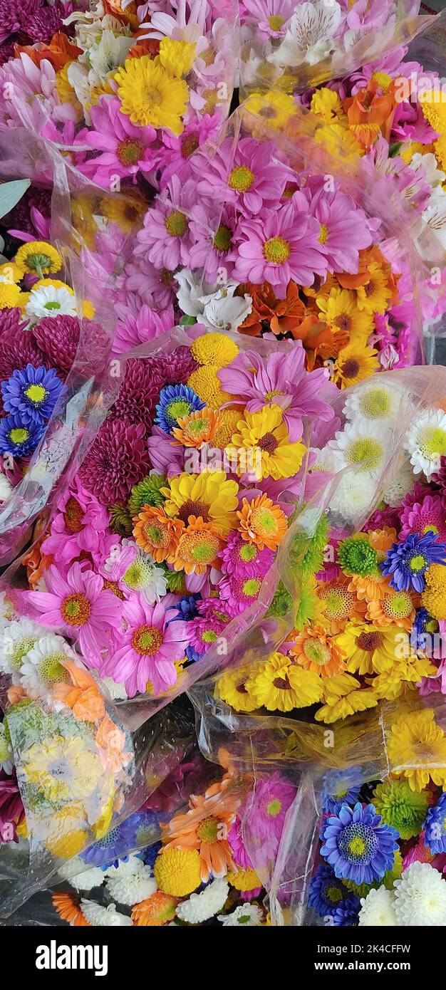 The bouquet of colorful, field flowers, background, vertical Stock ...