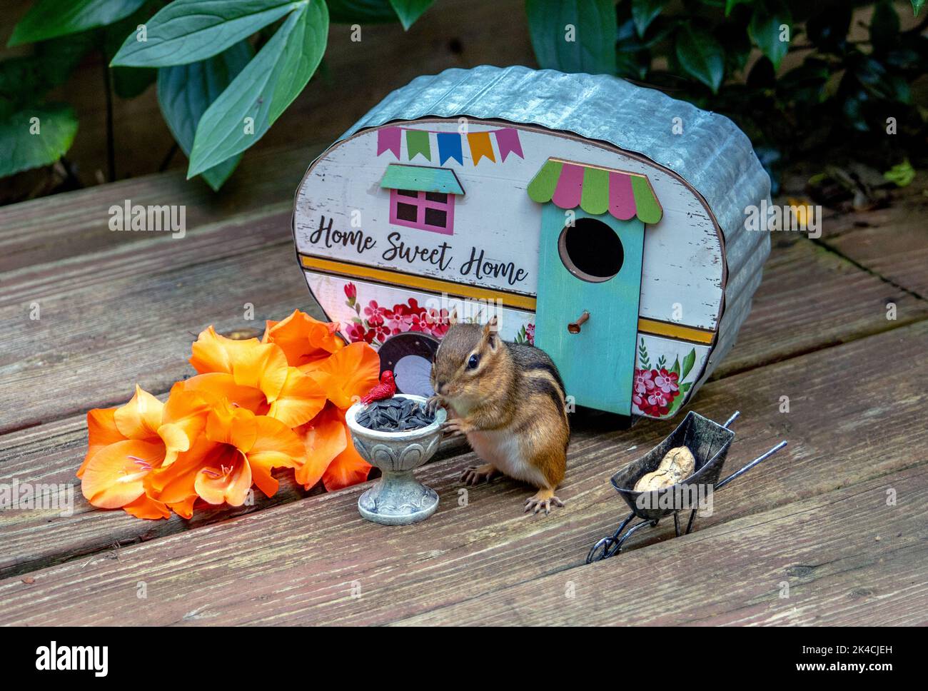 small chipmunk stands outside a small camper, with a bird bath full of ...