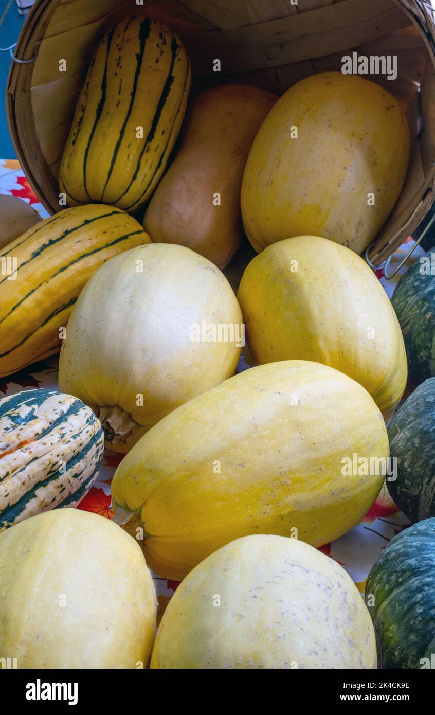 Rips pattern hi-res stock photography and images - Alamy