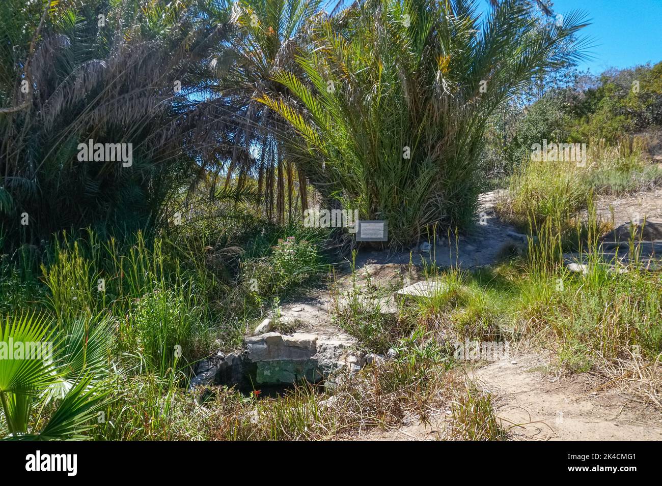 Several small soaking pools are all that's left at the abandoned San ...