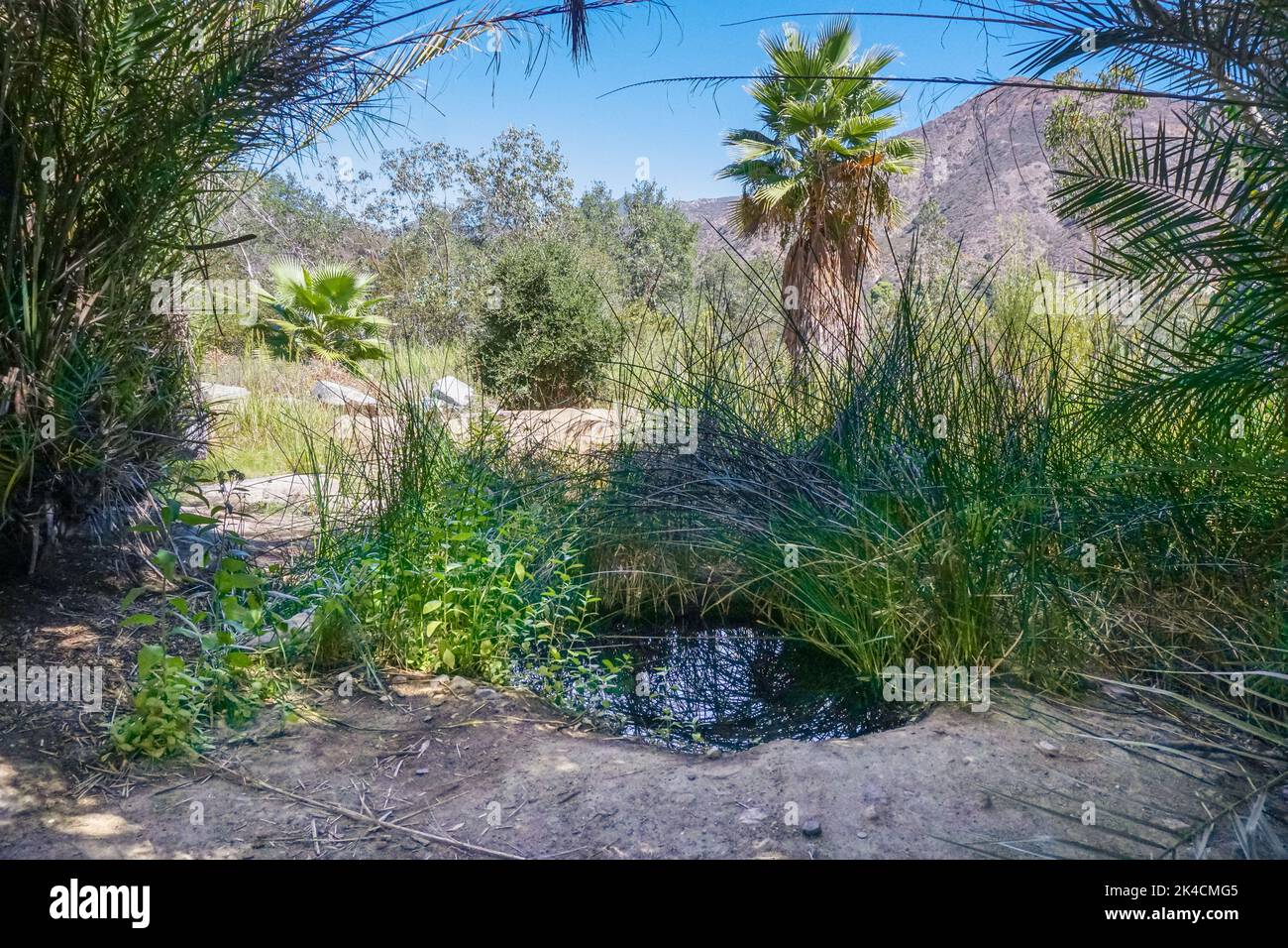 A small soaking pool is one of the remaining natural features at the ...