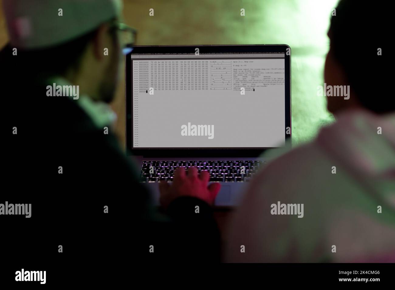 Back view of two diverse male colleagues using laptop with coding on ...