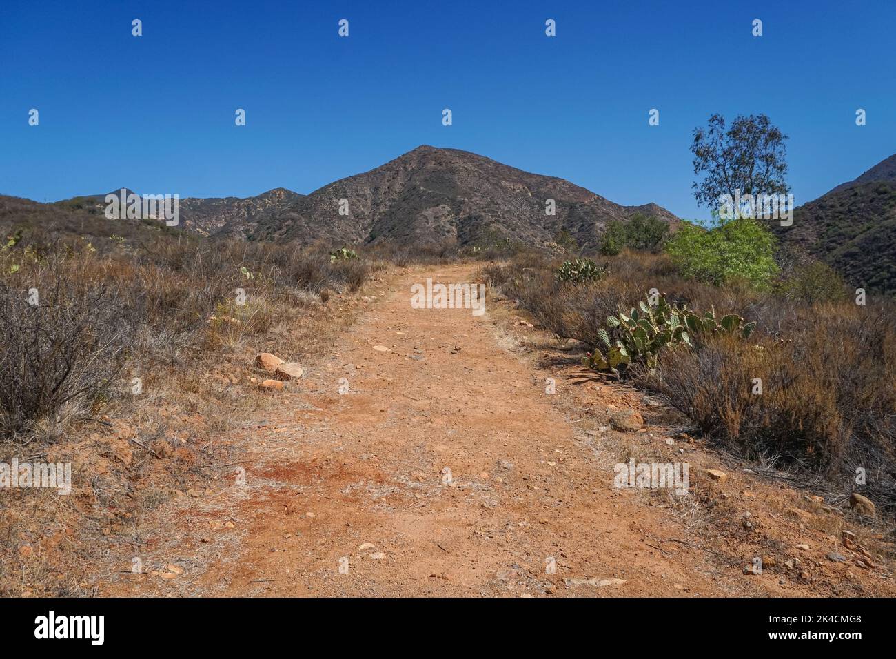 A fire road and hiking path climbs the Santa Ana Mountains in Orange ...