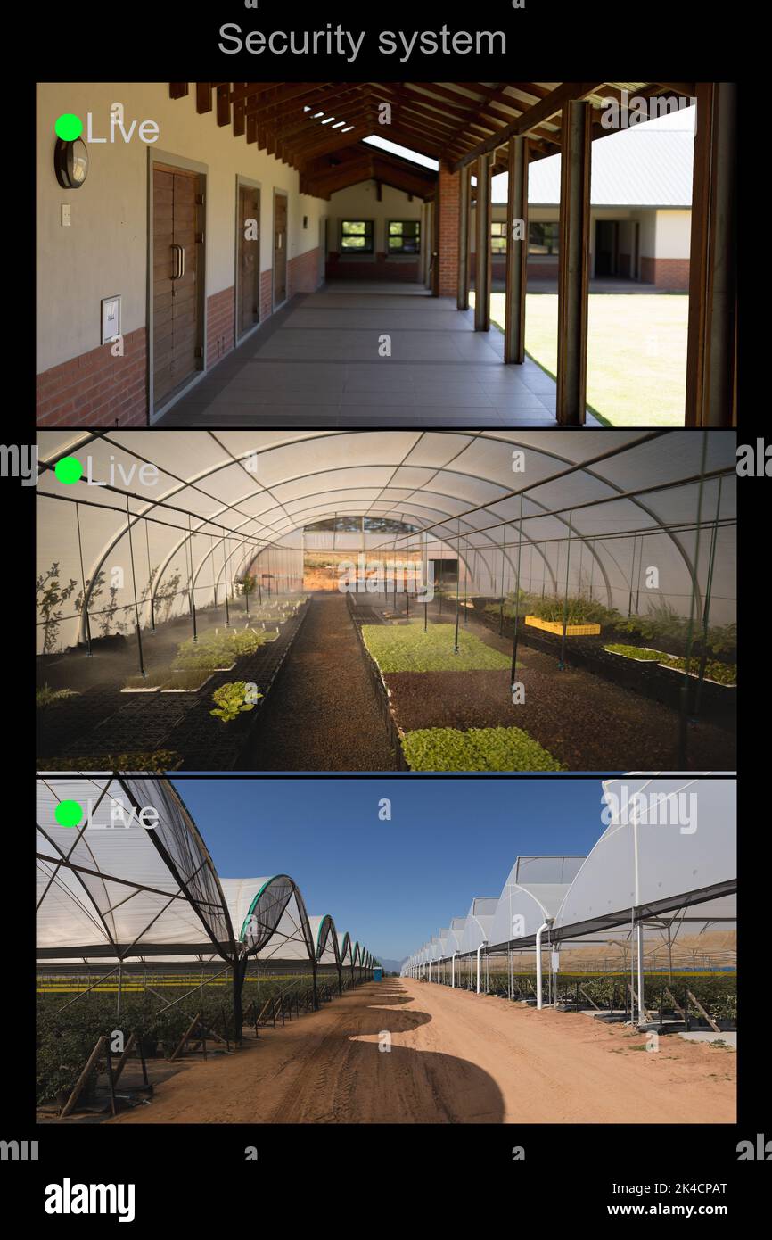 Composition of three security camera screens with live text digital ...