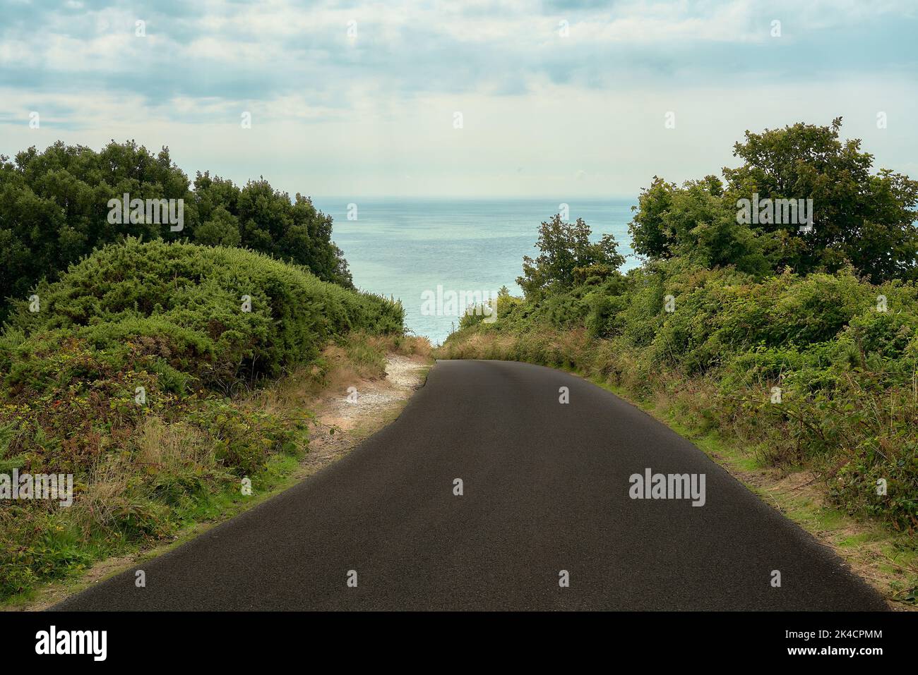 A narrow road with grass and trees on both sides with blue sky and ...