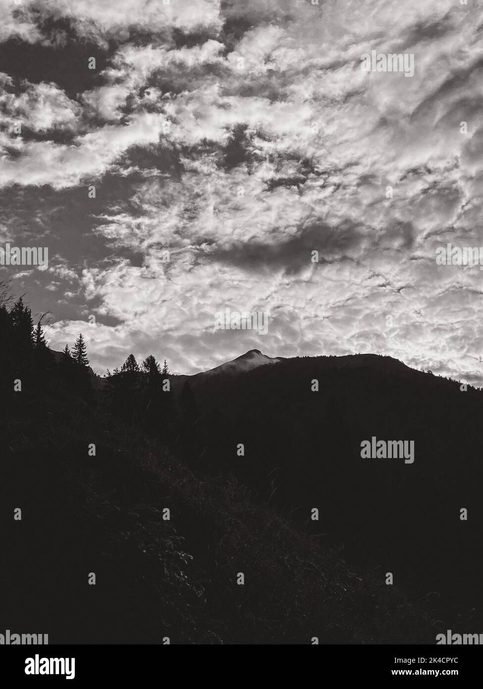 A vertical grayscale of the hillside with trees with the bright cloudy ...