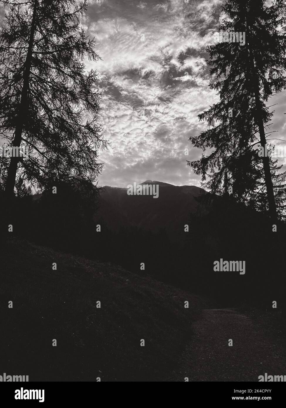 A vertical grayscale of the hillside with trees with the bright cloudy ...