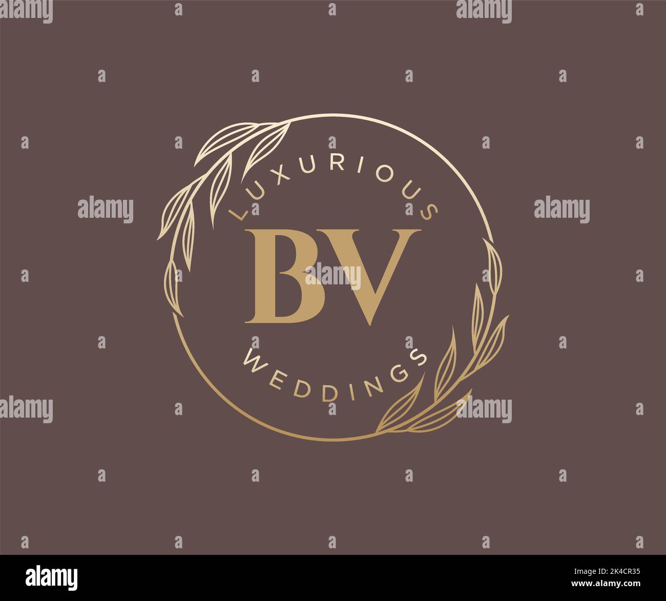 BV Initials letter Wedding monogram logos template, hand drawn modern ...