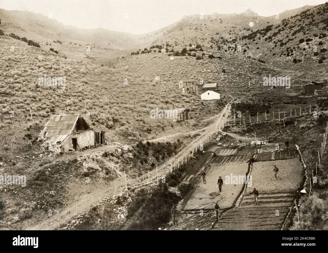 Us crops 1900s hi-res stock photography and images - Alamy