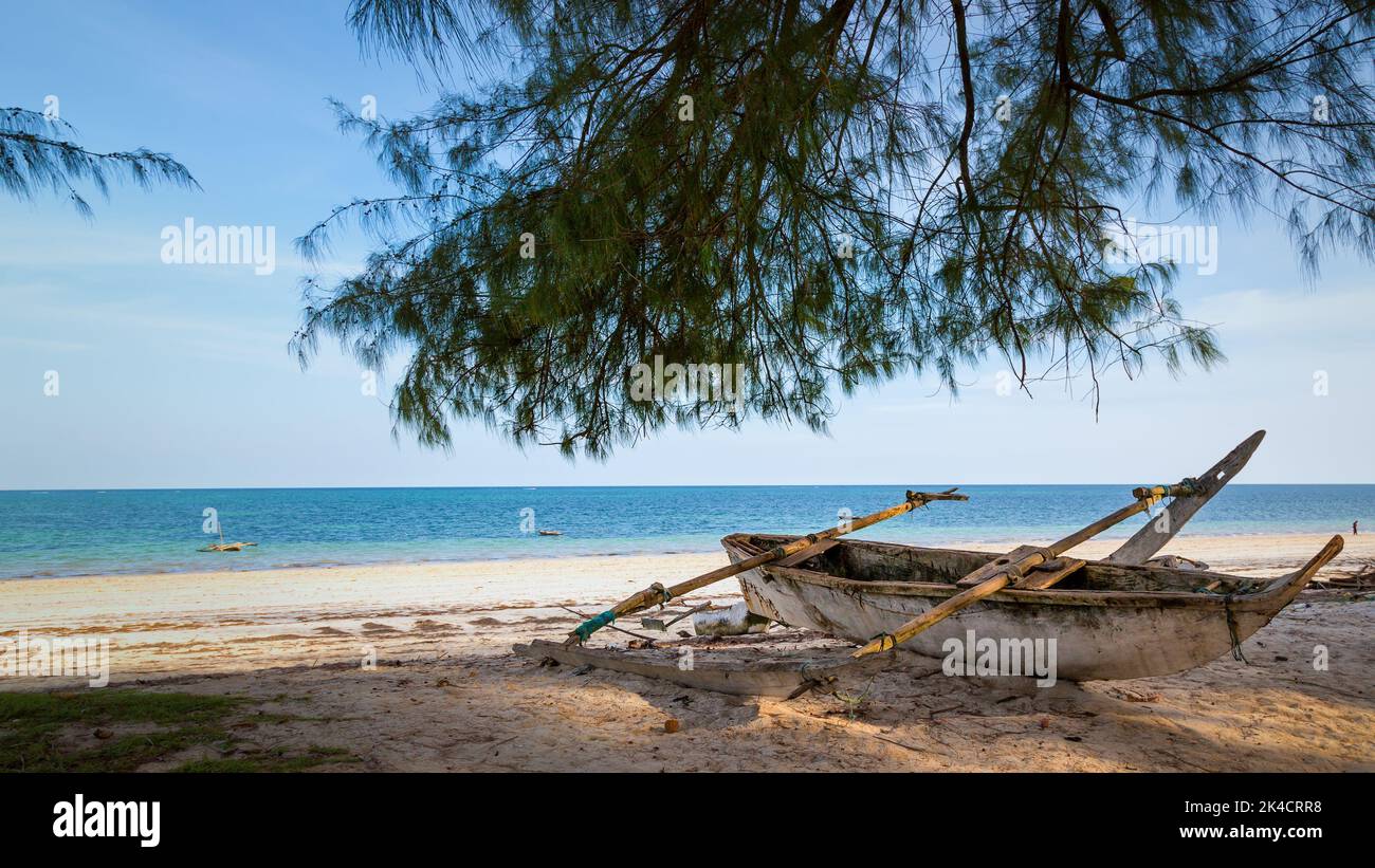 A shot of an old canoe boat under a tree on a sandy beach coast Stock ...