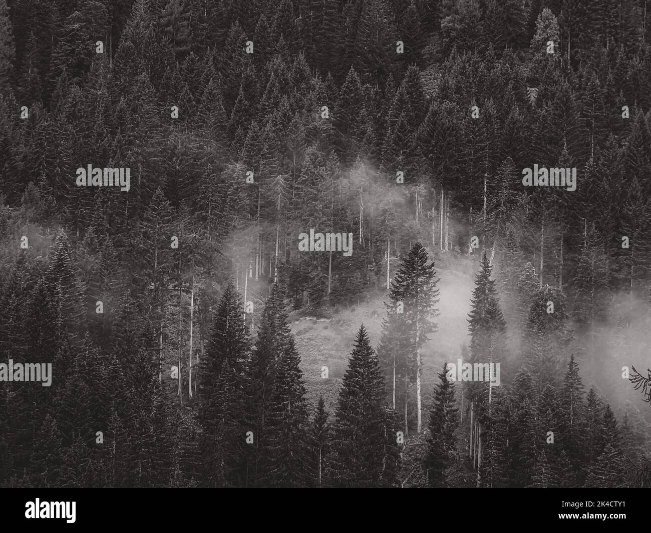 Beautiful grayscale soft landscape hi-res stock photography and images ...