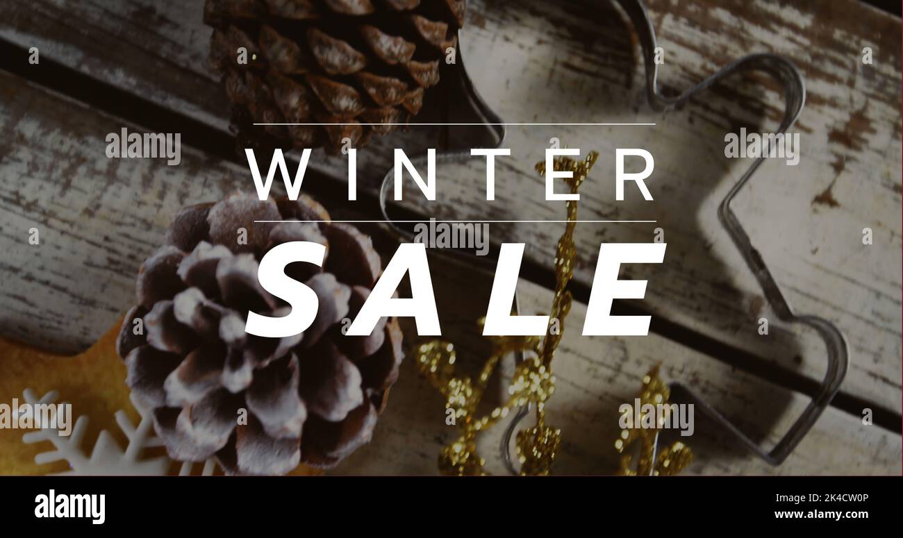 Composition of winter sale text over christmas decoration in background ...