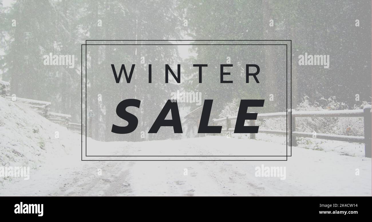 Composition of winter sale text over winter scenery in background ...