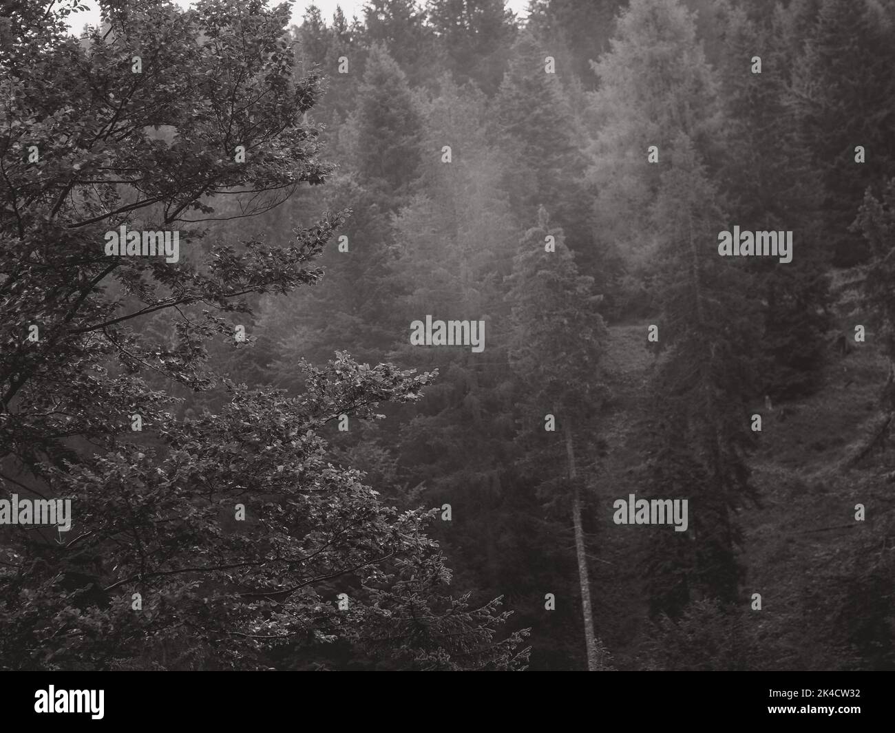 Beautiful grayscale soft landscape hi-res stock photography and images ...