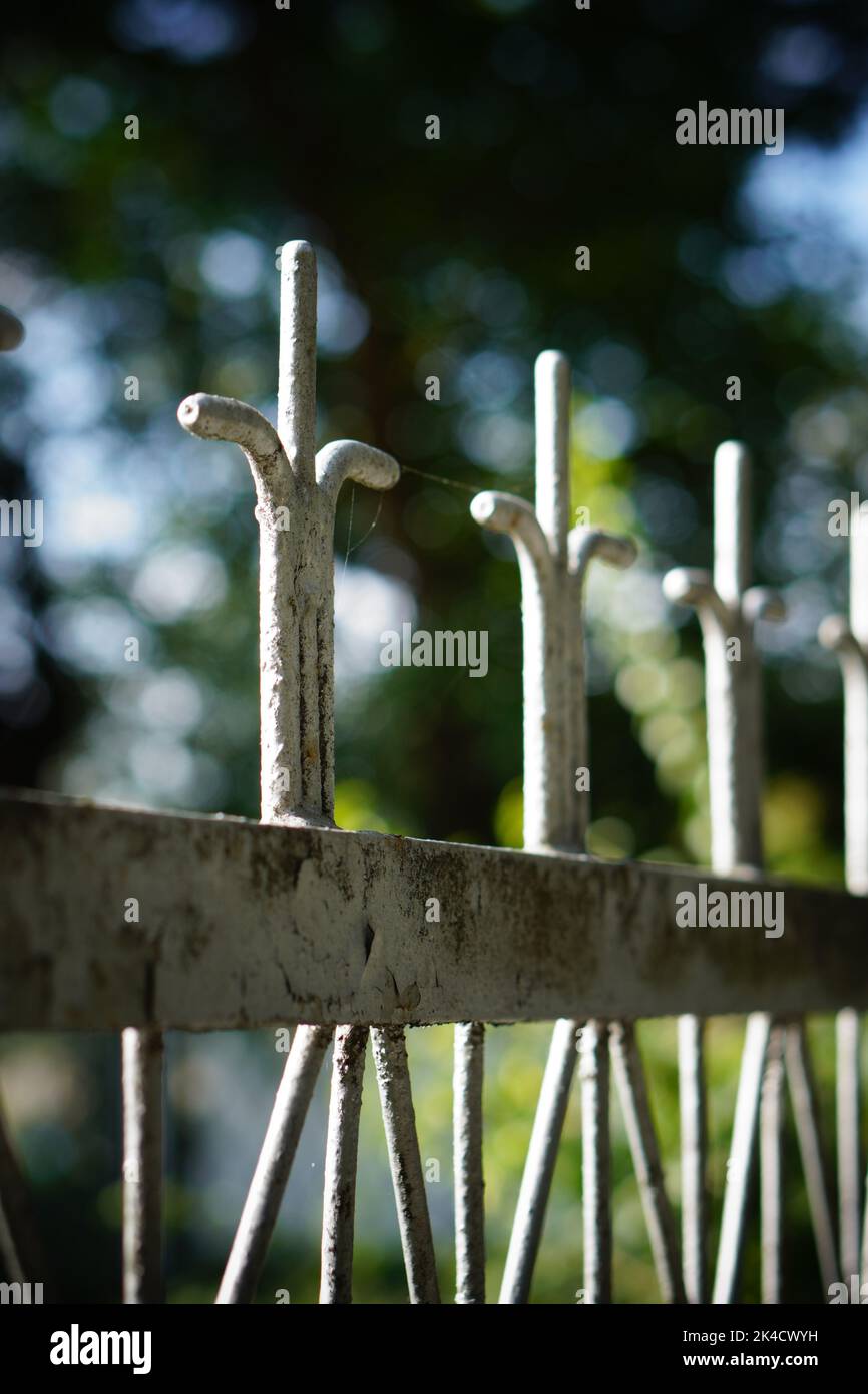 A vertical shot of an old metallic gate in a blur Stock Photo - Alamy