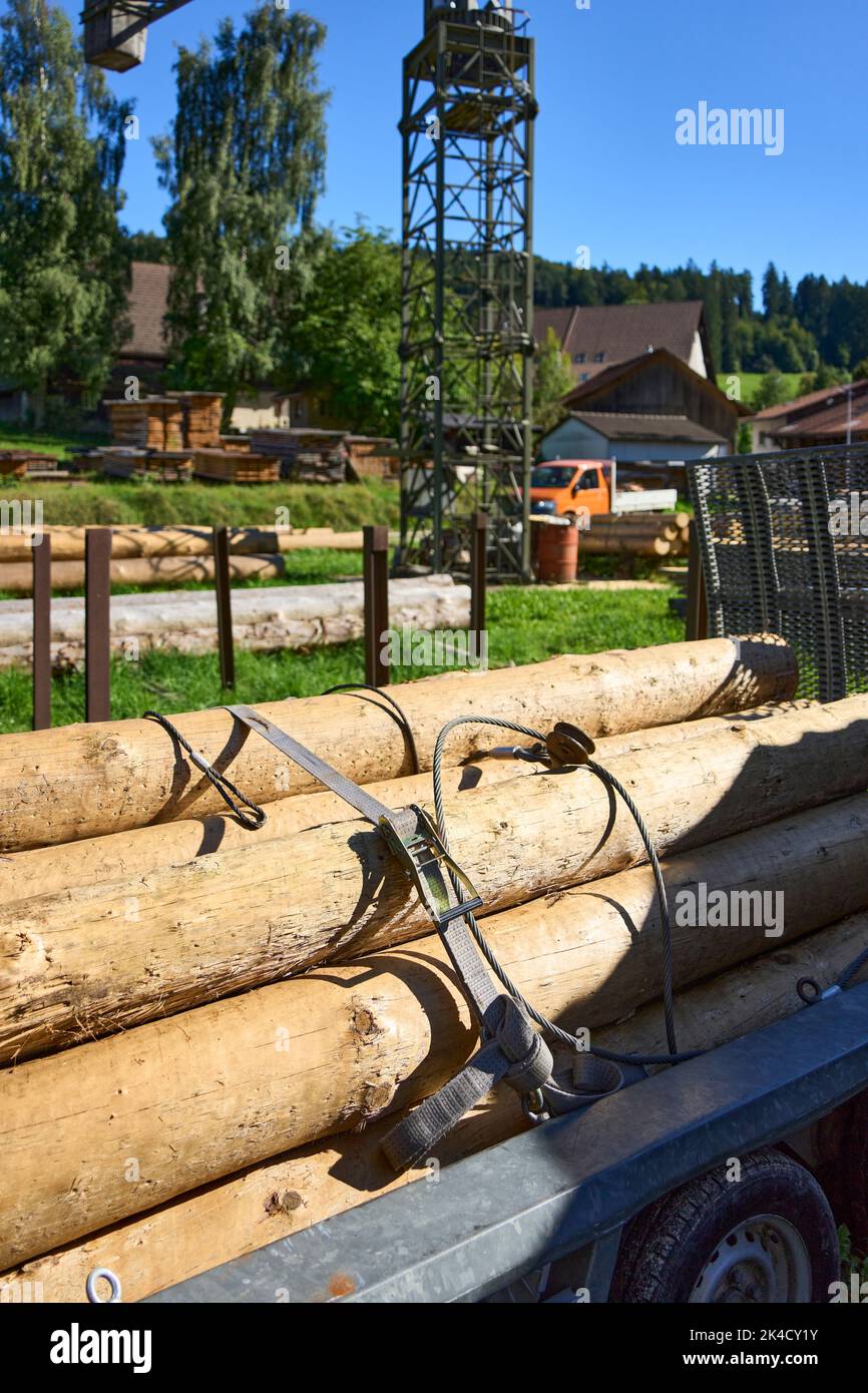 A vertical shot of a group of logs tied up by a rope outside of the ...