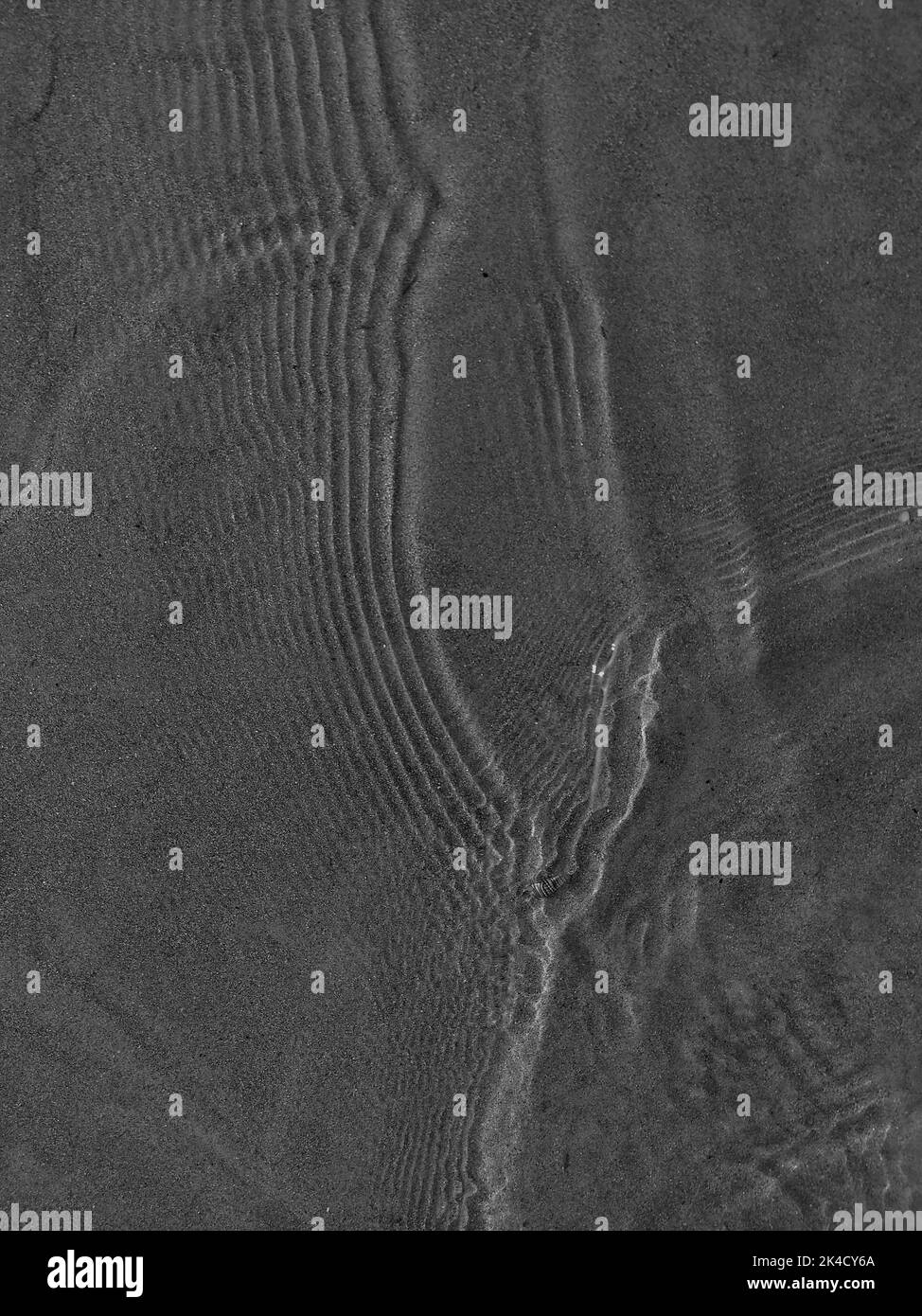 A vertical greyscale shot of the wet beach sand Stock Photo - Alamy
