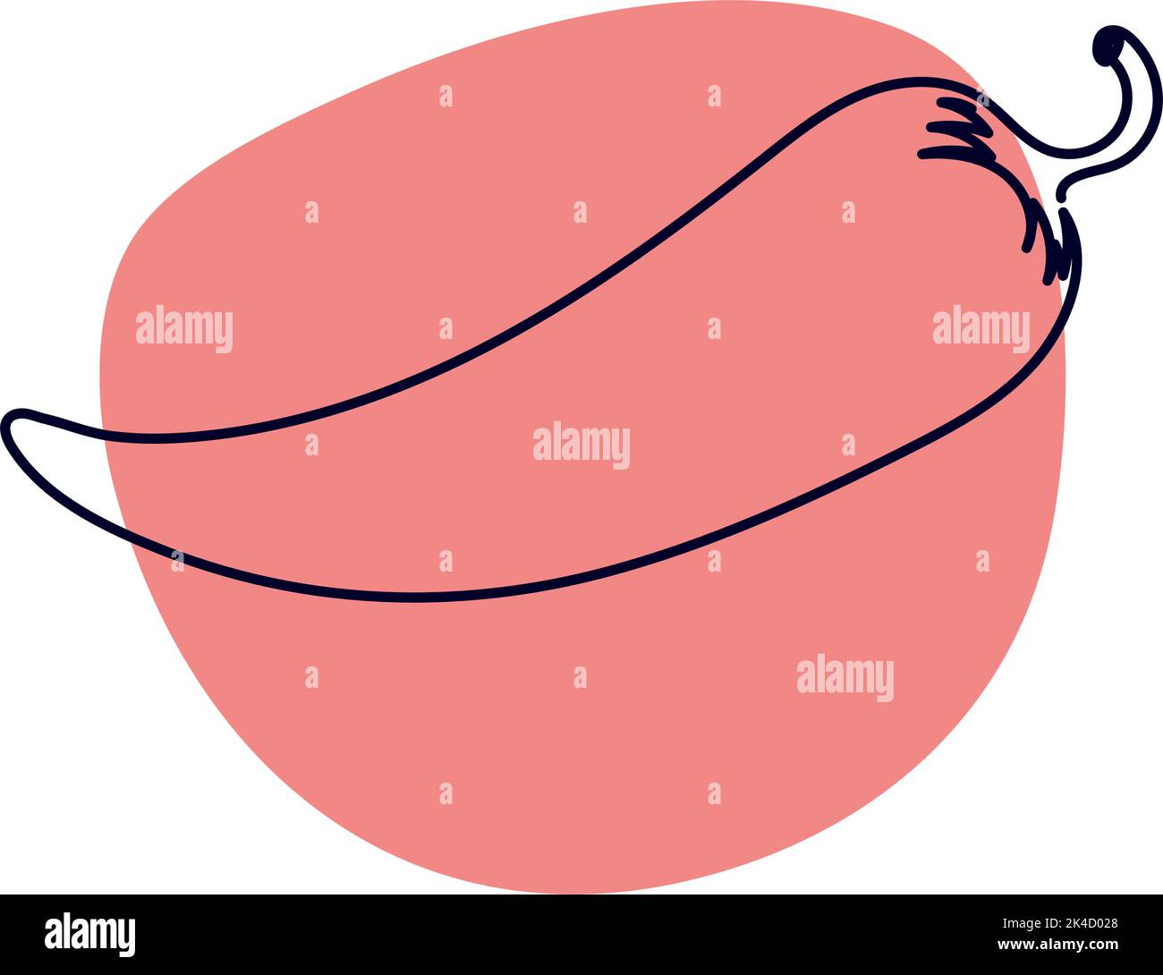 chili pepper line drawing Stock Vector Image & Art - Alamy