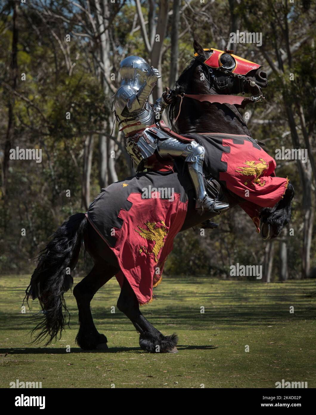 A knight on a black horse wearing black and red caparison Stock Photo ...