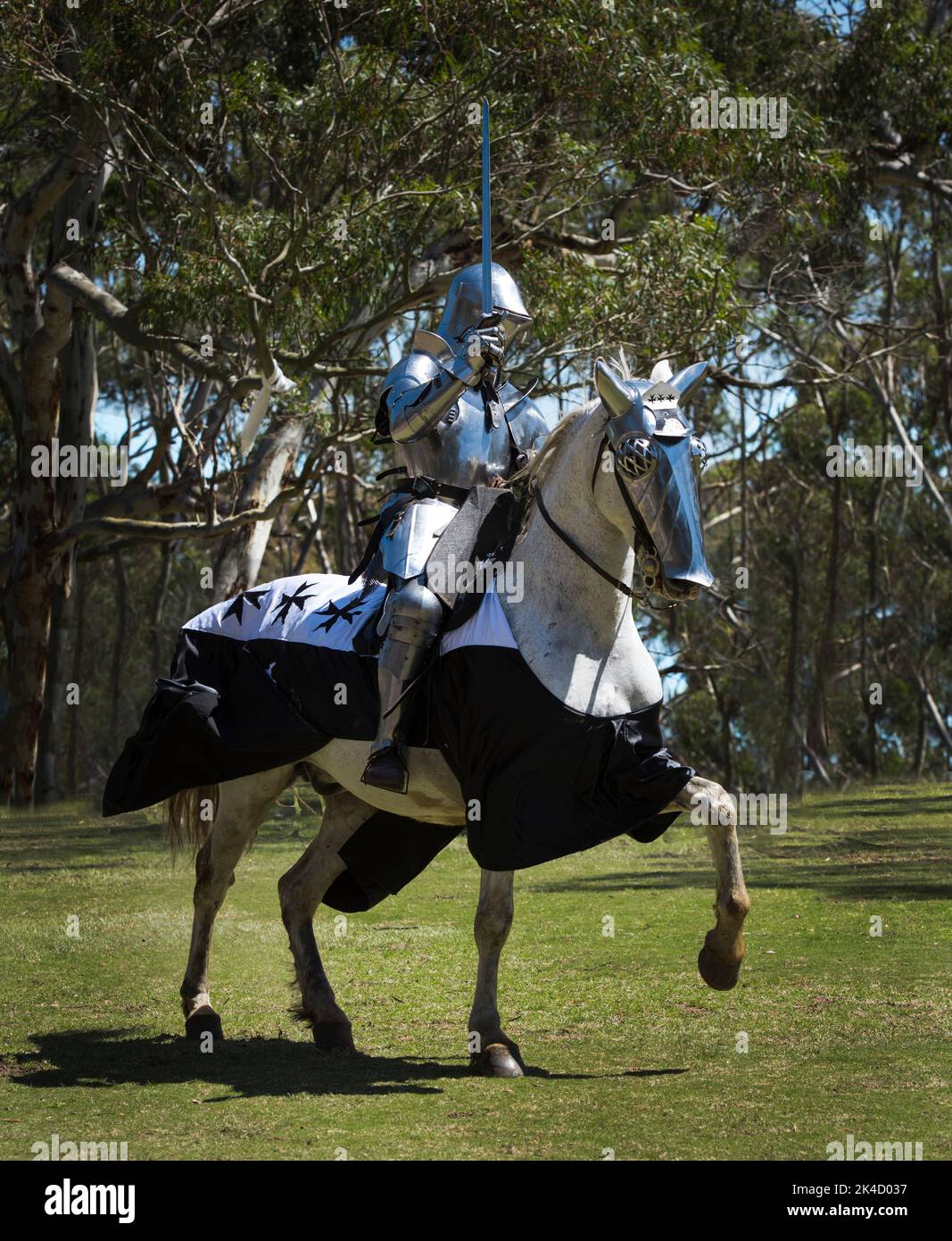 A knight on a black horse wearing black and white caparison Stock Photo ...