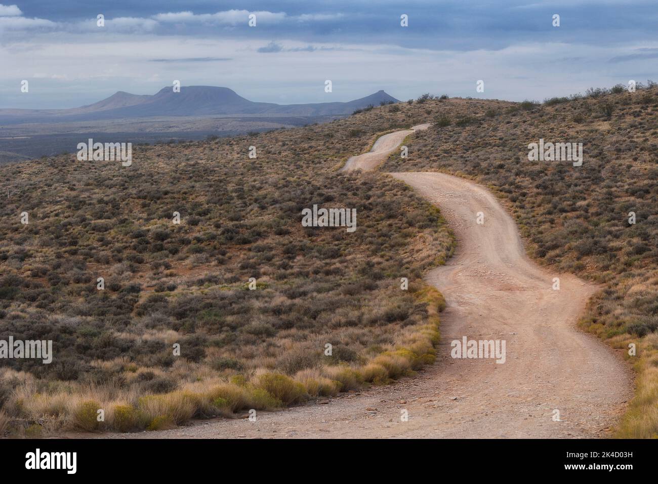 A pathway through an arid land Stock Photo - Alamy