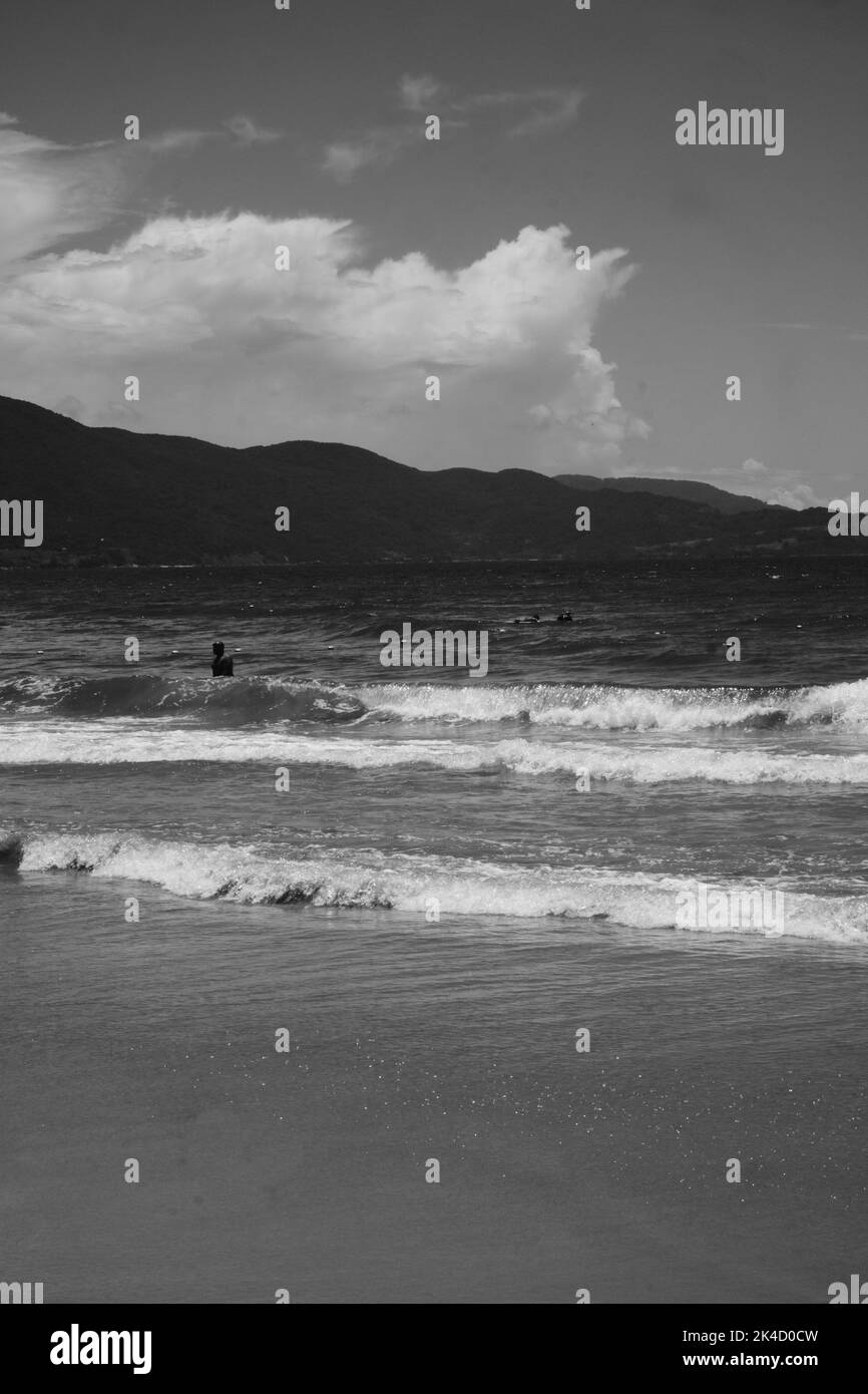 A vertical grayscale shot of ocean waves crashing on the shore Stock ...