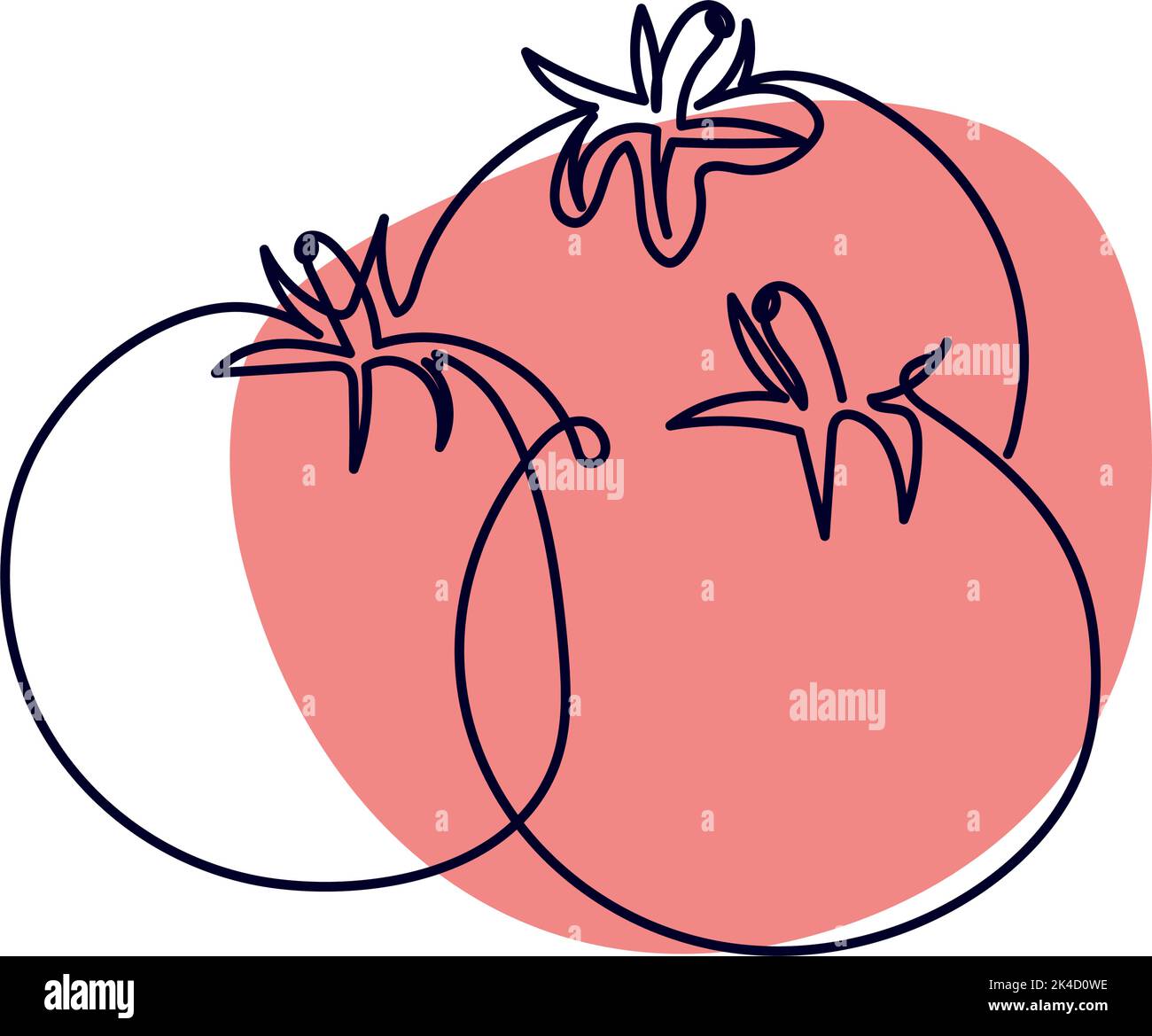 tomatoes line drawing Stock Vector Image & Art - Alamy