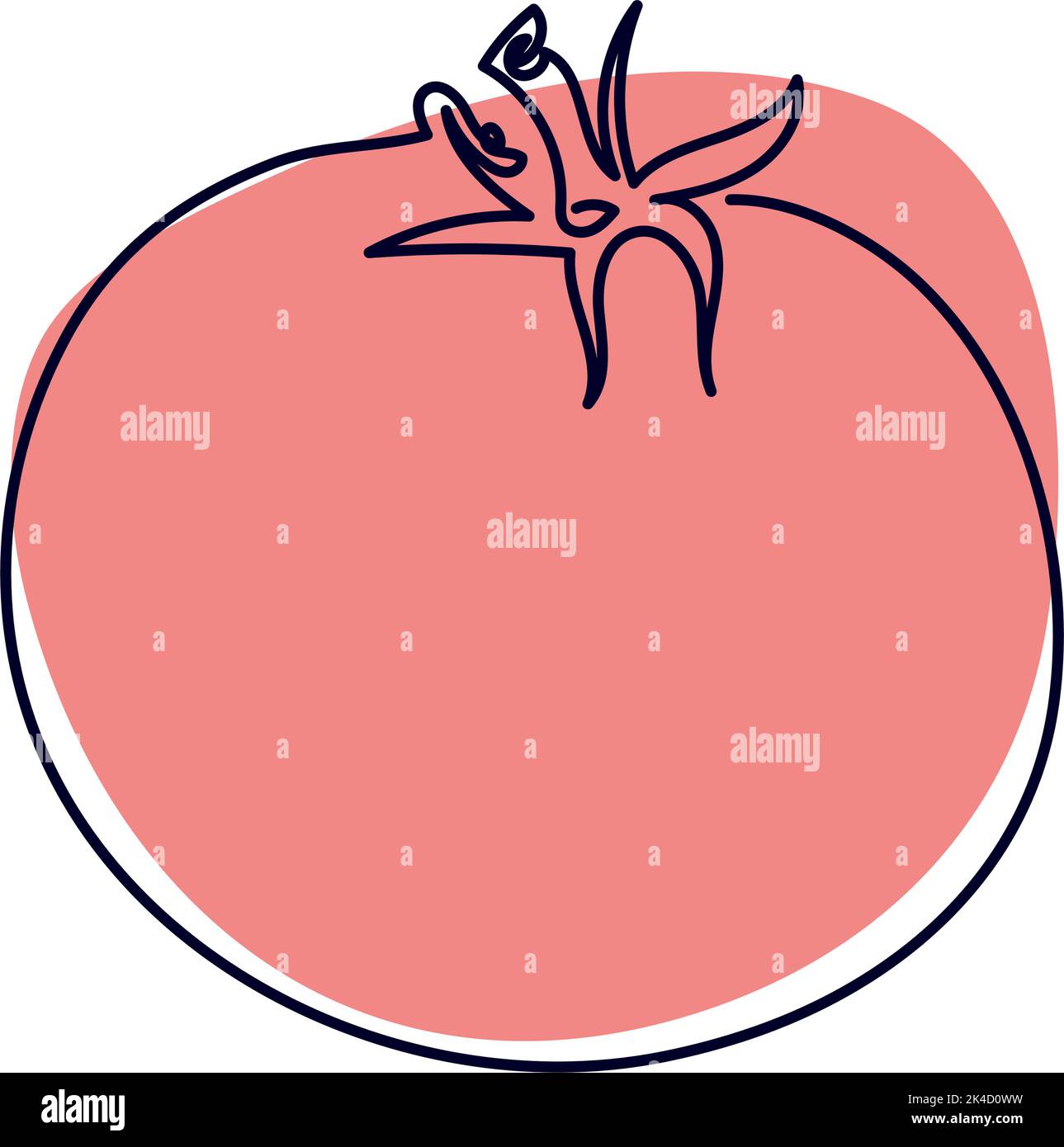 tomato line drawing Stock Vector Image & Art - Alamy