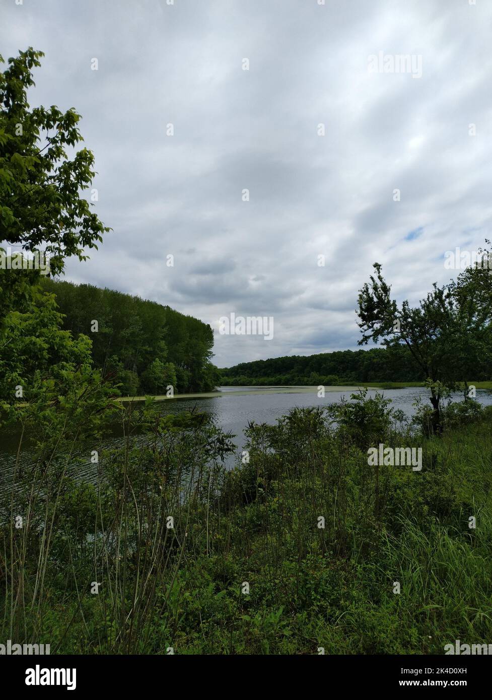 A beautiful natural scenery of a river flowing in a village surrounded ...