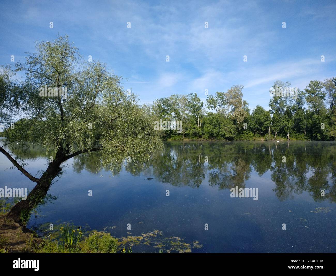 A beautiful natural scenery of a river flowing in a village surrounded ...