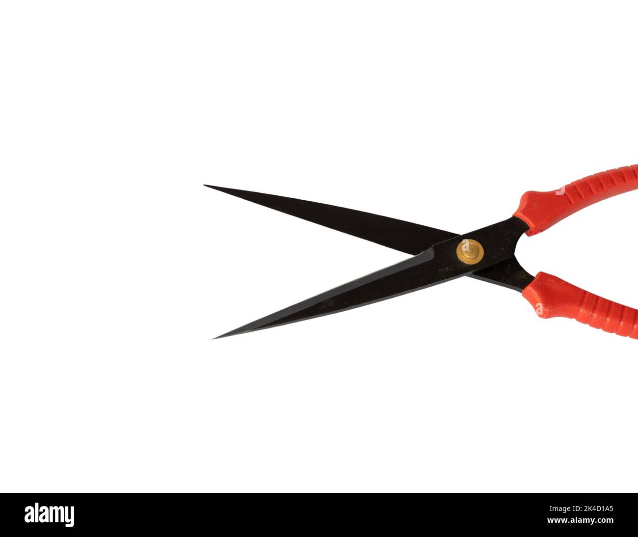 Gardening pruning shears on a white isolated background Stock Photo - Alamy