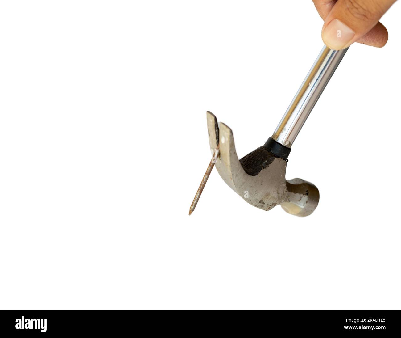 Holding hammer in hand pulling nail on white isolated background Stock ...
