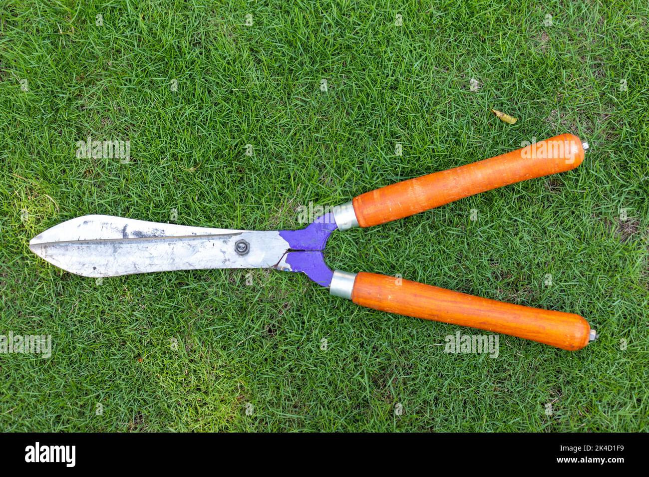 Hedge trimmer high angle view laying in a grass Stock Photo - Alamy